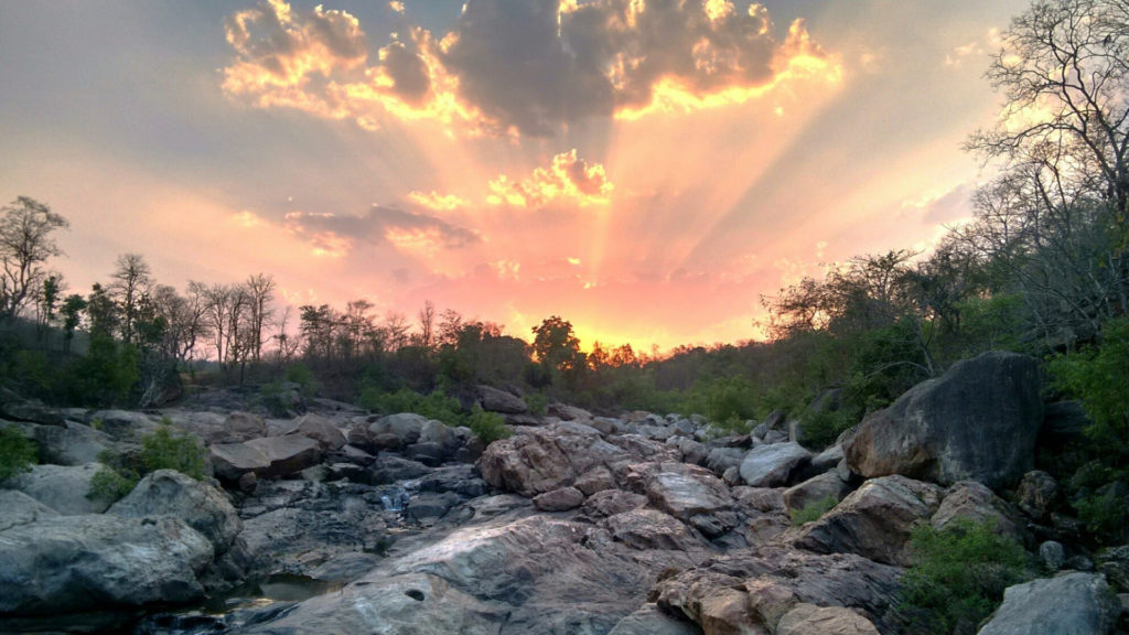 Jharkhand: National Park Experiences to Live – The Outdoor Journal