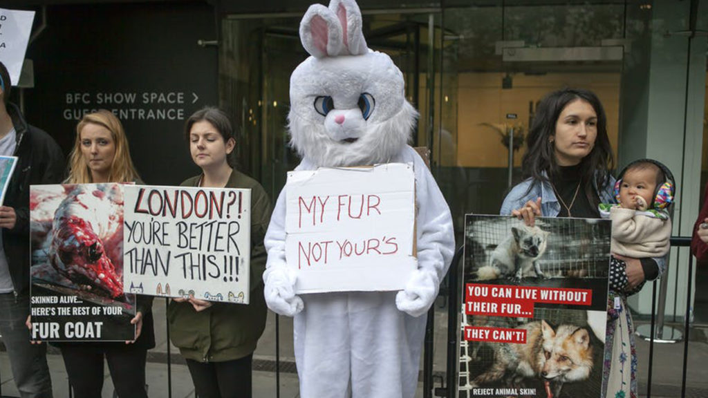 How Wealthy Western Nations Help Drive the Global Wildlife Trade – The ... How Wealthy Western Nations Help Drive the Global Wildlife Trade – The ...